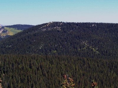 Griffith Mountain - 11,581' Colorado
