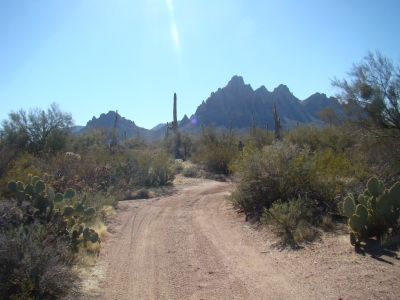 Ragged Top - 3,907' Arizona
