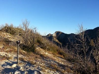 Disappointment, Mount - 5,980' California