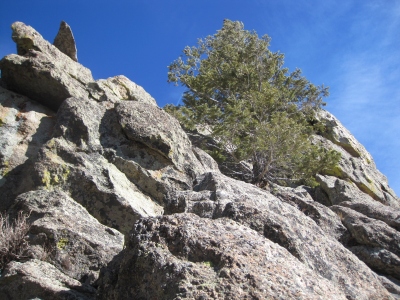 Promontory Ridge - 9,526' Colorado