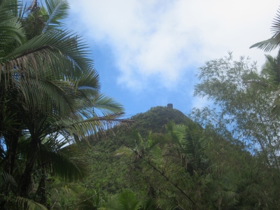 Monte Britton - 3,087' Puerto Rico