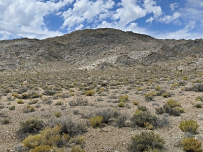 "Talc City Hills" - 5,713' California