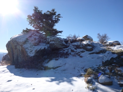 Curley Peak - 9,627' Colorado