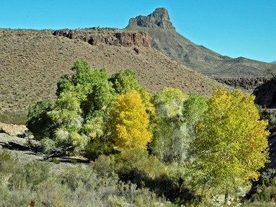 Thimble Mountain - 4,062' Arizona