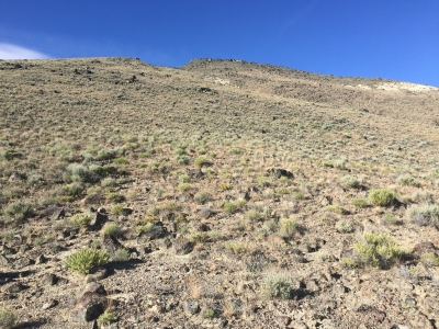 Flat Top Butte - 6,052' Nevada