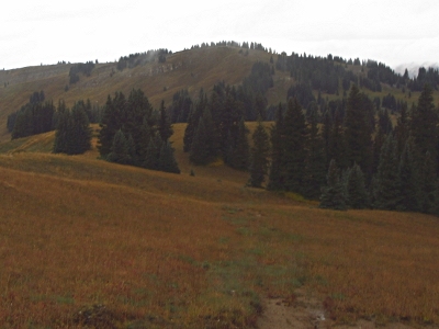 Miller Mountain - 11,743' Colorado