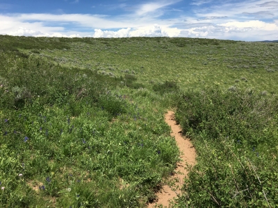 Snowdrift Mountain - 9,220' Colorado
