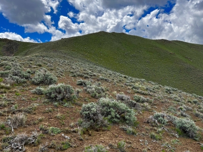 Argenta Point - 6,328' Nevada